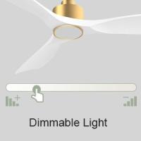 China 52 Ceiling Fan With Dimmable Light ABS Warm White Natural White Cool White for sale