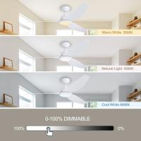 China 56 Inch Silent Ceiling Fan with DC Motor and Lighting for sale