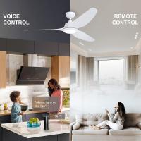 China 56 Inch Silent Ceiling Fan with DC Motor and Lighting for sale