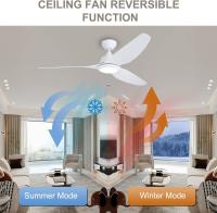 China 56 Inch Silent Ceiling Fan with DC Motor and Lighting for sale