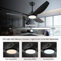 China 52 Inch Fan With Light 3 Color Temperature For Bedroom High CFM Ceiling Fan for sale