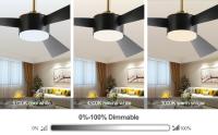 China Smart Energy Saving 52 Inch Ceiling Fan Lighting In Black for sale