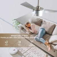 China 52 Inch  Fashionable Silver Ceiling Fan Lighting  With Remote Control for sale
