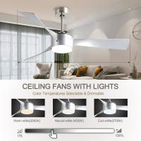 China 52 Inch  Fashionable Silver Ceiling Fan Lighting  With Remote Control for sale