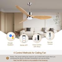 China White Black Gold 52 Ceiling Fan With Light 6 Speed DC Motor for sale