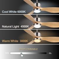 China White Black Gold 52 Ceiling Fan With Light 6 Speed DC Motor for sale