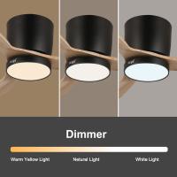 China 6 Speed White Black Gold 52 inch Smart Ceiling Fan Light With Energy efficient Function for sale