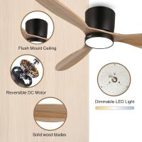 China 6 Speed White Black Gold 52 inch Smart Ceiling Fan Light With Energy efficient Function for sale