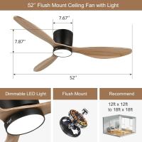 China 6 Speed White Black Gold 52 inch Smart Ceiling Fan Light With Energy efficient Function for sale