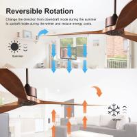 China 6 Speed Alexa Voice Control ABS Smart DC Motor Ceiling Fan with Lighting in Gold Black White for sale