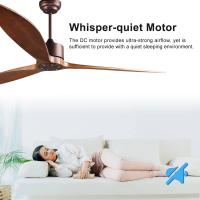 China 6 Speed Alexa Voice Control ABS Smart DC Motor Ceiling Fan with Lighting in Gold Black White for sale