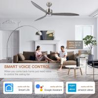 China Quiet DC Motor Ceiling Fan with Smart APP Control 3-Color Dimmable LED Light and 6 Speed Choice for sale