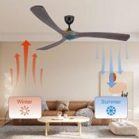 China Quiet Energy Saving 6 Speed Smart Ceiling Fan with Light Controlled by Alexa for sale