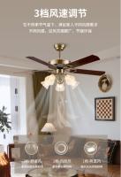 China Modern Energy Saving DC Quiet Motor Ceiling Fan Light with Alexa Google Home Smart Life 6 Speed Choice for sale