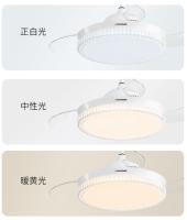 China Gold Accented Intelligent Ceiling Fan with LED Lights and Voice Control for sale