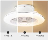 China 3-Speed Smart White Black Gold ABS Ceiling Fan with Illuminations for sale