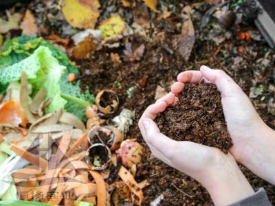 China Food Waste to Organic Fertilizer Plant 0.4-30t/h Capacity Composting Machine for sale