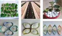 China Perlite Expansion Plant for sale
