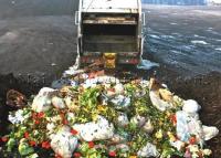 China ISO 9001 Certified 400V Organic Automatic Garbage Sorting Machine with 5-65 t/h Capacity for Biogas Plants for sale