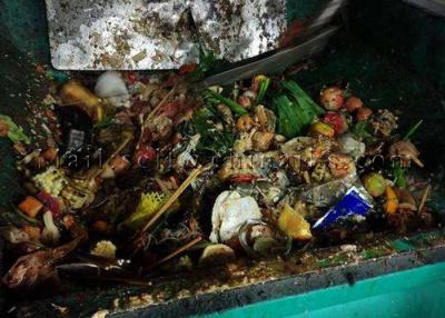 China ISO 9001 Certified 400V Organic Automatic Garbage Sorting Machine with 5-65 t/h Capacity for Biogas Plants for sale
