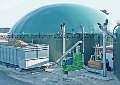 China 18TPH Organic Animal Waste Biomass Gasification Power Plant with 2-18 T/H Sorting Capacity for Renewable Energy Production for sale
