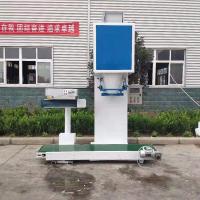 China Plain Style Bag Packing Machine For Granular Powder monosodium glutamate for sale
