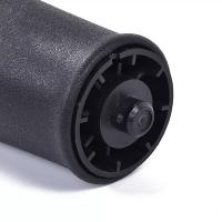China Air Gas Rear Shock Absorber for BMW X5 E53 Rear Air Leveling 37126750356 2kg for sale