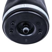 China Air Suspension Shock Absorber Rear Left Right for BMW 5 Series E39 1995-2004 37121094614 for sale