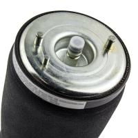 China Air Suspension Shock Absorber for BMW 5 Series Wagon E39 1995-2004 Rear Left Right 37121094614 for sale