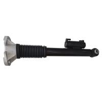 China Air Suspension Shock Absorber Rear Left for Mercedes W167 GLE 350 450 OE 1673202301 for sale