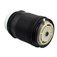 China Hydraulic Air Shock Absorber Set for Mercedes-Benz CLS-Class W218 E-Class W212 40cm 2kg for sale