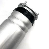 China Front Air Suspension Shock Absorber for Land Rover Discovery 3 4 L319 RR Sport L320 5kg for sale