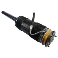 China Rear Oil-Filled Hydraulic Shock Absorber for Mercedes CL S Class W221 W216 ABC 2213200413 for sale