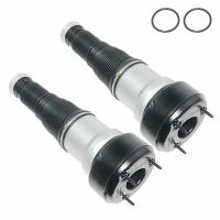 China Air Suspension Shock Absorber for Mercedes Benz S Class W221 Rear Left Right 2213205613 5kg for sale