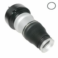 China Air Suspension Shock Absorber for Mercedes Benz S Class W221 Rear Left Right 2213205613 5kg for sale