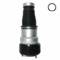China Air Suspension Shock Absorber for Mercedes Benz S Class W221 Rear Left Right 2213205613 5kg for sale