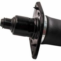 China Air Suspension Shock Absorber Rear Right for Audi A6 Allroad Quattro Wagon 1999-2006 C5 4B 9kg for sale