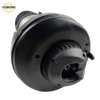 China Front Air Suspension Shock Absorber for Audi A8 D5 4N 4N4616039F 4N4616039G 8.5kg for sale