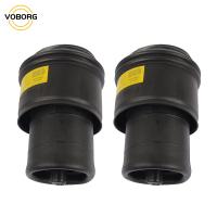 China OEM Air Suspension Shock Absorber Kit for FIAT PEUGEOT CITROEN C5 Rear Left Right 3kg for sale