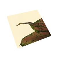 China 0.3mm-6.0mm Hot rolled Thickness Steel Sheet  by Professional Manufacturer for sale