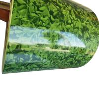 China As Your Request Length Prepainted Color Coated Galvanized Steel Coil Gi Steel Sheet with ISO9001 Certificate for sale