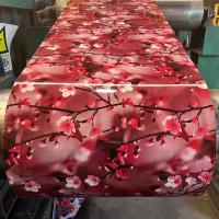 China Coating PVDF White PPGL Coated Roll Prepainted Galvanized Zinc Color Coated Roll Steel Coil PPGI Building Roofing Material for sale