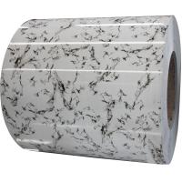 China Processing Service Cutting and Tolerance ±1% for RAL 9016 9001 Color Coated Steel Coil Prepainted Galvanized PPGI Coil for sale