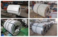 China PPGI PPGl Steel Coil DX51D DX52D DX53D RAL9003 Color Coated Prepainted Galvanized for Punching Processing for sale