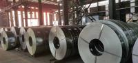 China Skin Pass SGCC Q235 Hot Dipped Galvanized Steel Strip with Regular Spangle 0.8mm for sale