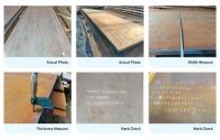 China ASTM Standard 0.13-4.0mm Galvanized Coated Custom Carbon Steel Coil for Hot/Cold Rolling and Surface for sale