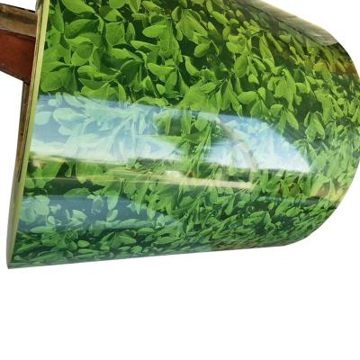 China Regular Spangle Grass Pattern PPGI PPGI Galvanized Steel Coil Prepaint Color Coated Steel Coil with 3-5 Tons Coil Weight for sale