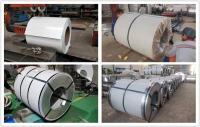 China 0.35*1219mm Size Ral 9003 Prepainted Galvanized PPGI Steel Coil Grade DX51D Z/SGCC/DC01 Z/DC51D Z 3-5 Tons Coil Weight for sale