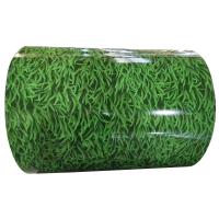 China JIS Standard PPGI Color Coated Steel Coil with Coil ID 508/610mm and PPGI Steel Coils Sheet for sale