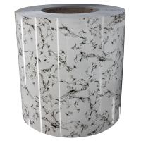 China Standard Package ESBS Essar Riffled PPGI Texture Stew RAL5015 Coil PPGI Roll Coils RAL Marble in South Africa for Container for sale